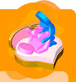  Dataguru 